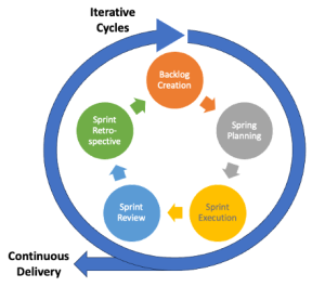 Agile Project Management – Introduction to Information Systems Management
